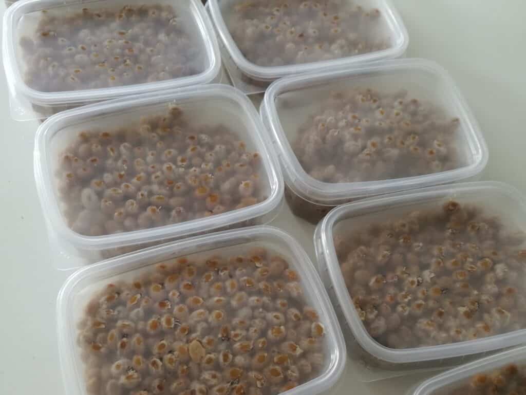How to make natto - TopCultures